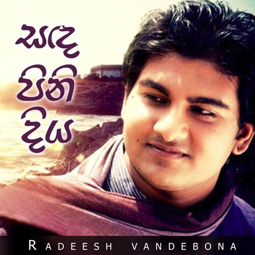 Radeesh Vandebona Albums Songs Playlists Listen On Deezer