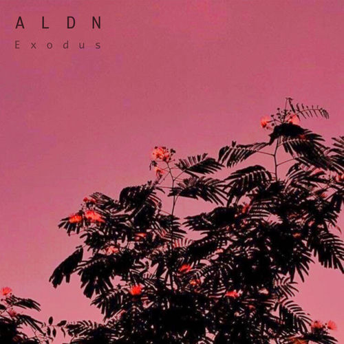 Aldn: albums, nummers, afspeellijsten | Luister op Deezer