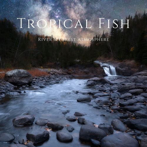 Tropical Fish: albums, songs, playlists | Listen on Deezer