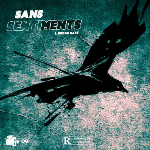 L'Oiseau Rare : albums, chansons, playlists | À écouter sur Deezer