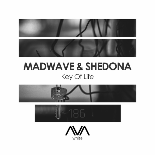 Musik von Madwave: Alben, Lieder, Songtexte | Auf Deezer hören