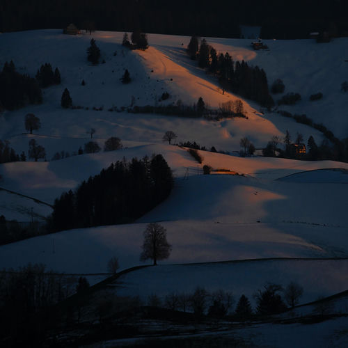 snow.: albums, songs, playlists | Listen on Deezer