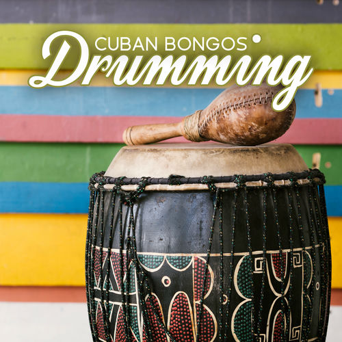 Cuban Bongos