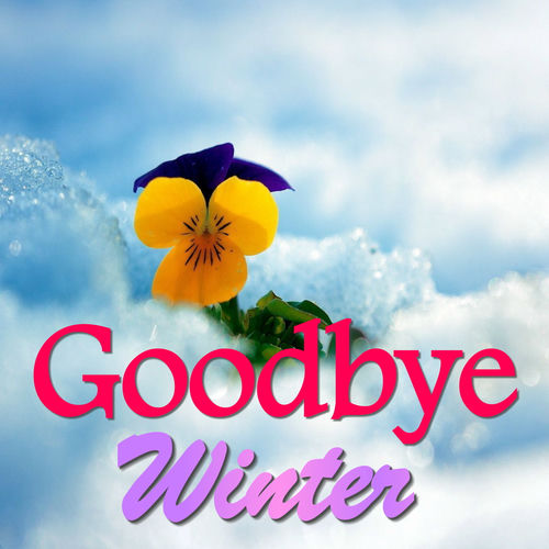 Various Artists - Goodbye Winter: lyrics and songs | Deezer