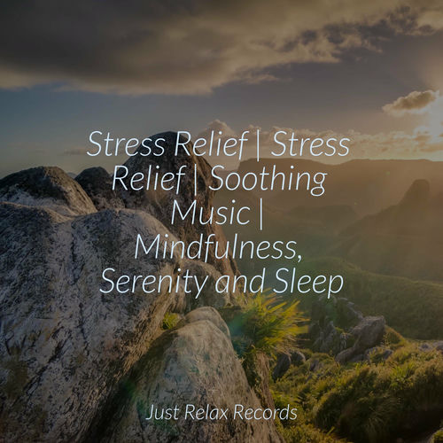 Calming Sounds - Stress Relief | Stress Relief | Soothing Music ...