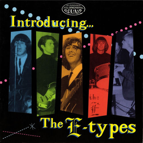 Ascolta Introducing The E-Types di THE E-TYPES | Canzoni e testi | Deezer