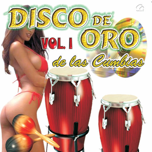 Varios Artistas - Disco de Oro de las Cumbias Vol. 1: letras de canciones | Deezer