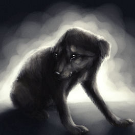 Sad Black Wolf