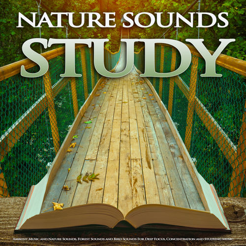 Study Music & Sounds - Nature Sounds Study: Ambient Music and Nature Sounds, Forest Sounds and ...