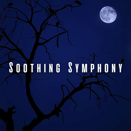 Nature Sounds Research Soothing Symphony Light Rain And Bird