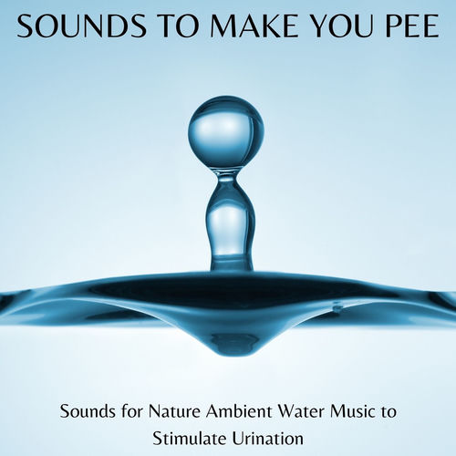 Various Artists - Sounds to Make You Pee: Pee Stimulation Music, Sounds ...
