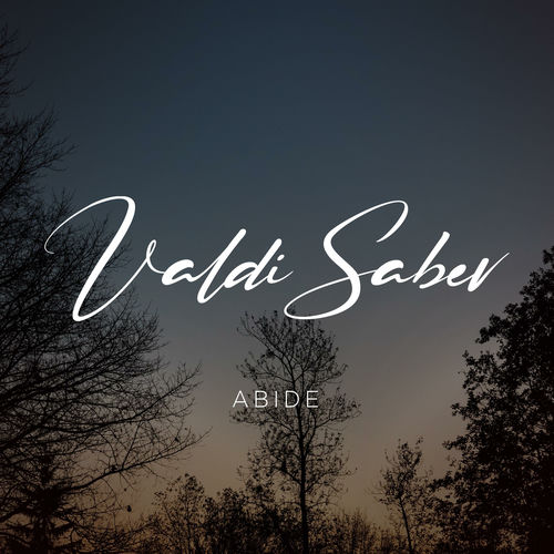 Valdi Sabev - Abide : chansons et paroles | Deezer