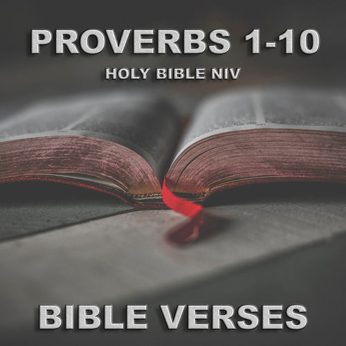 Bible Verses - Holy Bible Niv Proverbs 1, Pt2: listen with lyrics | Deezer
