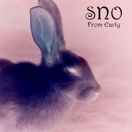 Collective Soul Rabbit