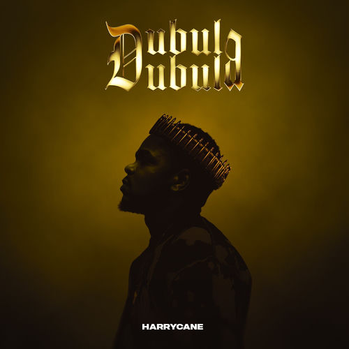 Harry Cane - Dubula Dubula: lyrics and songs | Deezer