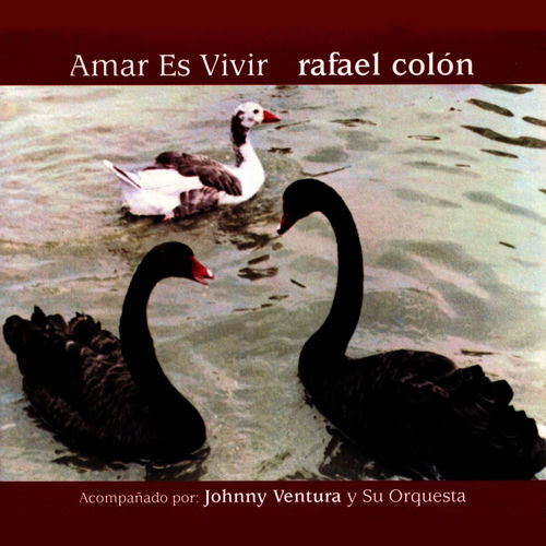 Rafael Colon - Amar Es Vivir: letras y canciones | Escúchalas en Deezer