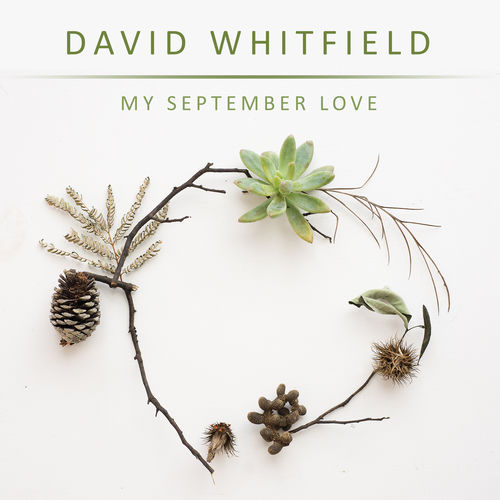 David Whitfield - My September Love: letras de canciones | Deezer