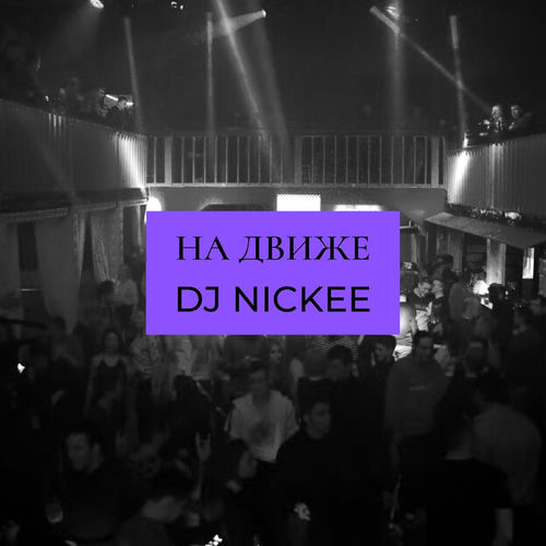 DJ NICKEE - Домашнее животное: şarkı sözleriyle birlikte dinle | Deezer