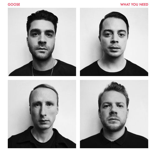 GOOSE - What You Need: lyrics and songs | Deezer
