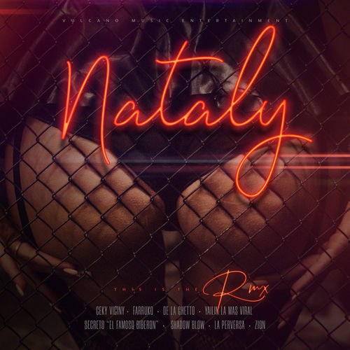 Ceky Viciny - Nataly (Remix): letras e músicas | Deezer