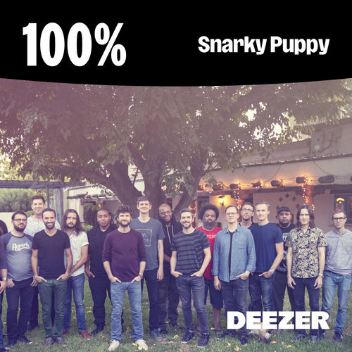 Playlist 100% Snarky Puppy | À écouter sur Deezer