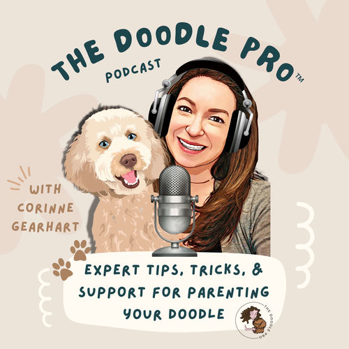 Listen to The Doodle Pro: Expert Doodle Dog & Puppy Training, Grooming ...