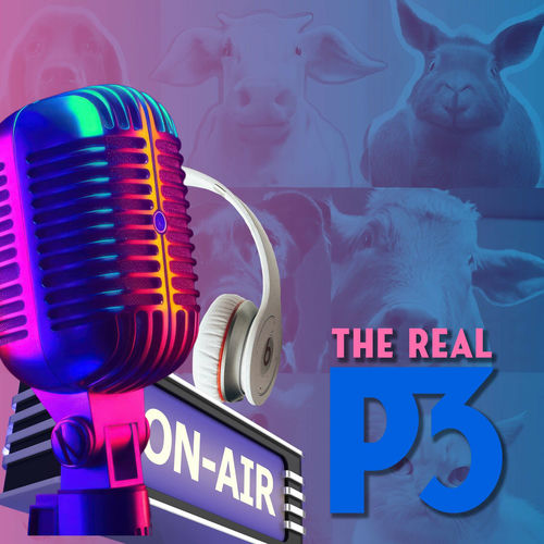 Listen to The Real P3 podcast | Deezer