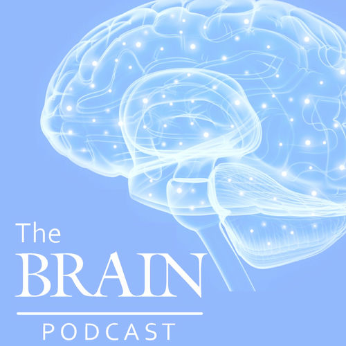 Listen to The Brain Podcast podcast | Deezer
