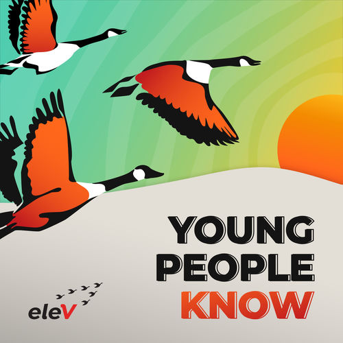 Listen to EleV: Taking Flight Together podcast | Deezer