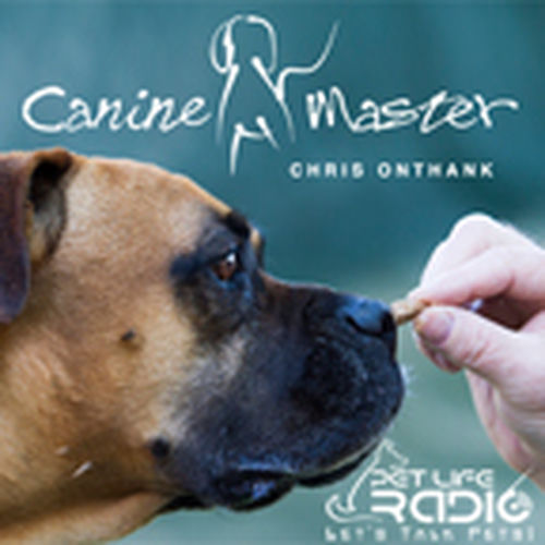 Listen to Canine Master - Dog training and behavior on Pet Life Radio ...