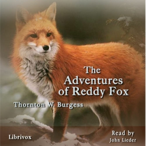 Listen to Adventures of Reddy Fox, The by Thornton W. Burgess (1874 ...