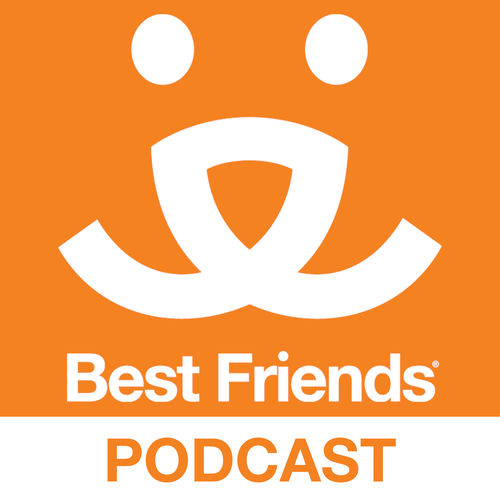 Listen to The Best Friends Podcast podcast | Deezer