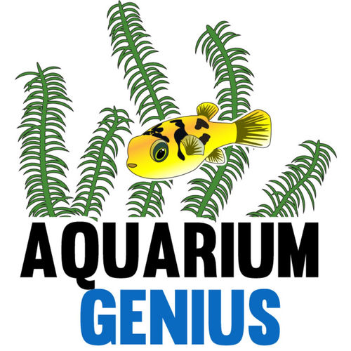 Listen to Aquarium Genius Podcast podcast | Deezer