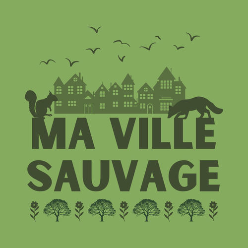 Listen to Ma ville sauvage podcast | Deezer
