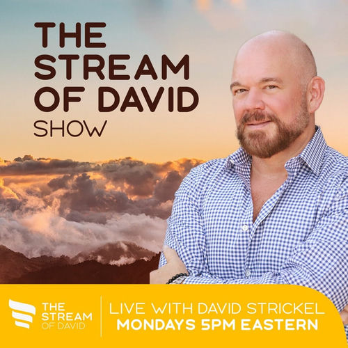 Listen to The Stream of David podcast | Deezer