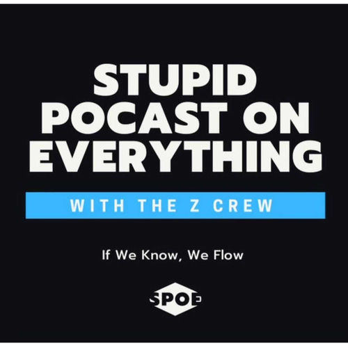 Listen to Stupid Podcast on Everything podcast | Deezer