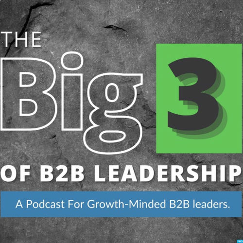 Listen to The Big 3 of B2B Leadership podcast | Deezer