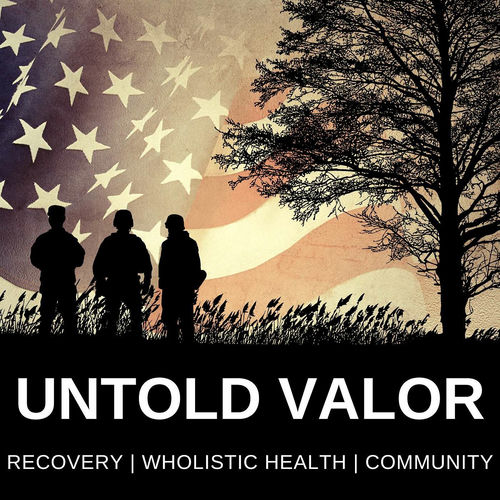 Listen to Untold Valor: Veterans Recovery in Action podcast | Deezer